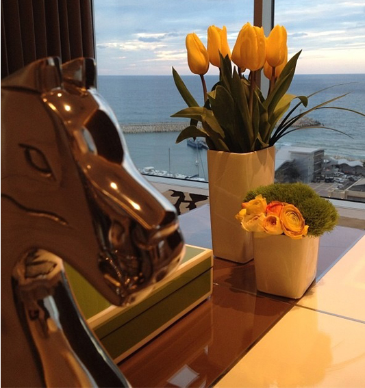 בית העיצוב RUGINE - דף הבית